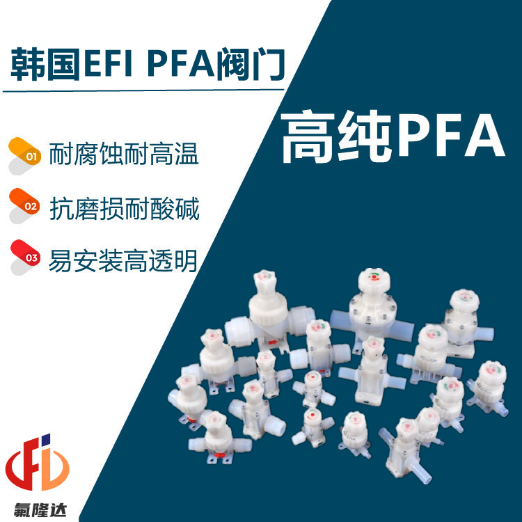 韩国EFI PFA阀门 - 厦门氟隆达科技有限公司